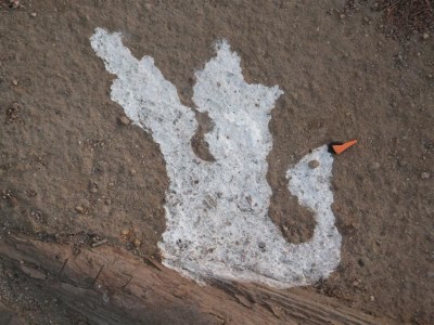 bird poop art | sue mitchell art