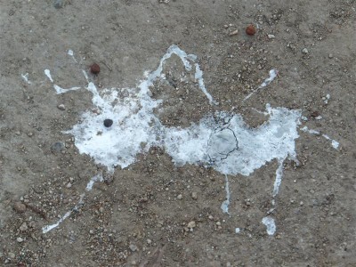 bird poop art | sue mitchell art